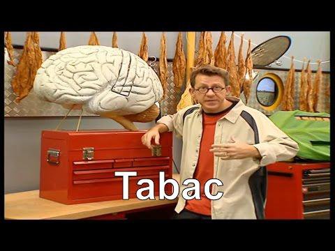 Comment La Nicotine Agit Elle Sur Le Cerveau C Est Pas Sorcier Par