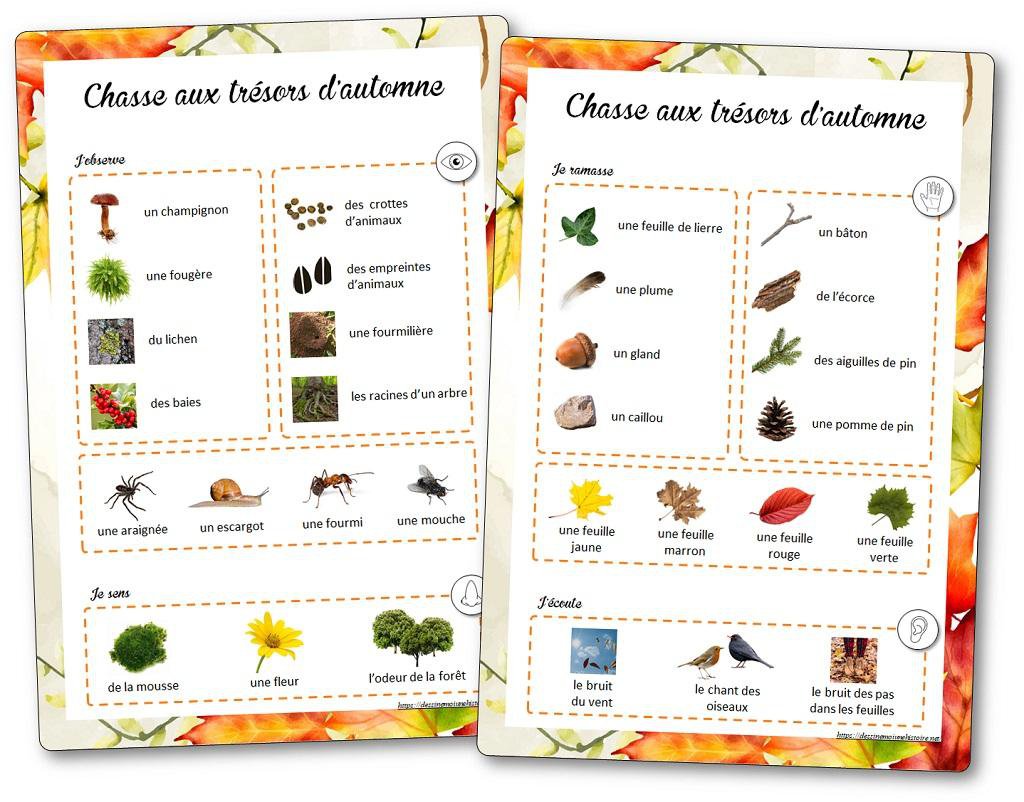 Fiches pour organiser une chasse aux trésors d’automne dans la forêt ...