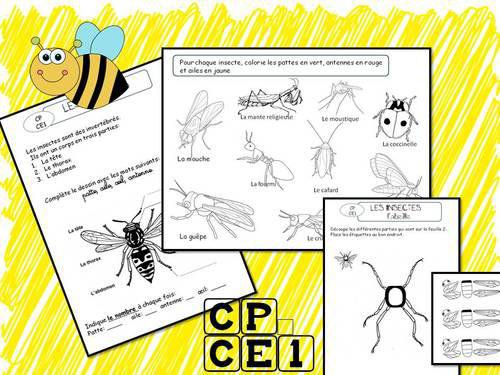 Les insectes par La classe de Corinne - jenseigne.fr