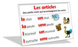 Les articles et les noms (module 1) par Le stylo de Vero - jenseigne.fr