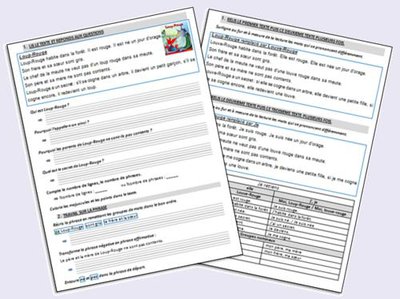 Faire de la grammaire au CE1 (version 2016) - période 1 par Le stylo de ...