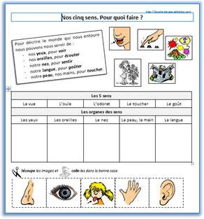 Les cinq sens - CP par Le stylo de Vero - jenseigne.fr