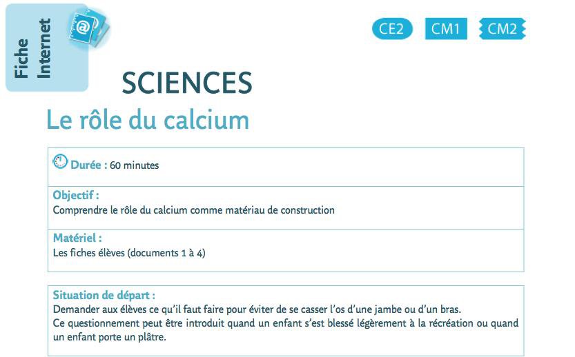 Le rôle du calcium par Lea.fr - jenseigne.fr