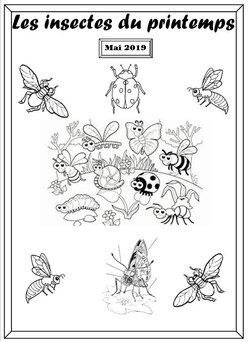 Ateliers scientifiques: les insectes du printemps par Chez Maliluno ...