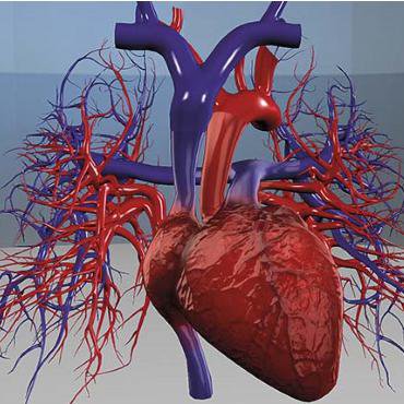 Working with a visual learning tool (Sensavis) par Microsoft Education ...