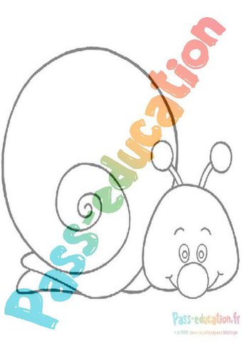 Coloriage gratuit : Escargot – PDF à imprimer par Pass-education.fr ...