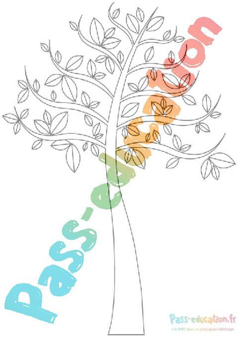 Arbre à colorier : découvrez nos coloriages gratuits à imprimer pour ...