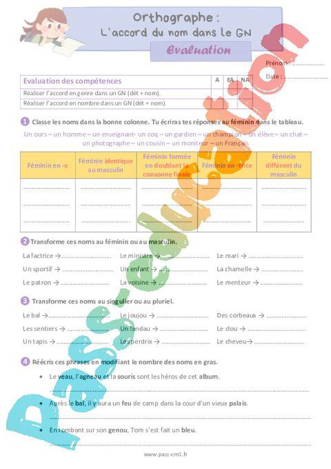 Accord du nom dans le GN – Évaluation d’orthographe pour le cm1 – PDF à ...