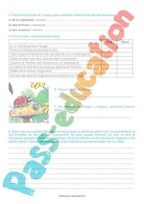 Les insectes – Cm1 – Cm2 – Atelier « Œil de lynx » – PDF à imprimer par ...