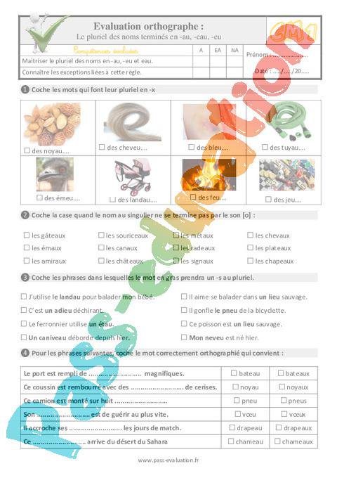 Le pluriel des noms terminés en -au, -eau, -eu au Cm1 – Evaluation: QCM ...