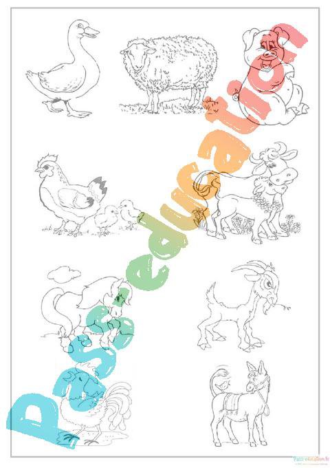 Découvrez nos coloriages gratuits sur les animaux de la ferme à ...