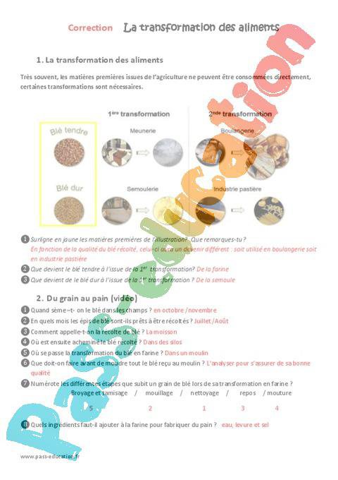 Classer Les Aliments Exercices Ce2 Cm1 Cm2