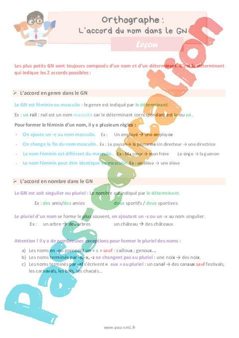 Accord du nom dans le GN – Leçon d’orthographe pour le cm1 – PDF ...