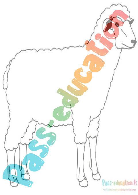 Découvrez nos coloriages gratuits sur le thème du mouton à télécharger ...