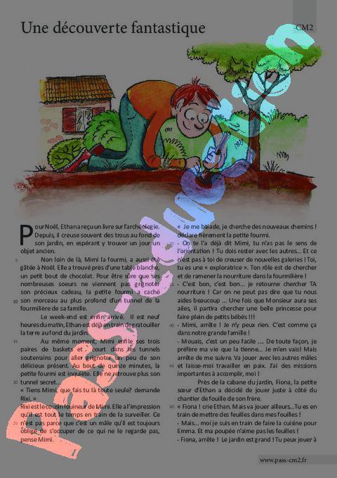 Une découverte fantastique – Cm2 – Récit – Lecture – Cycle 3 – PDF à ...