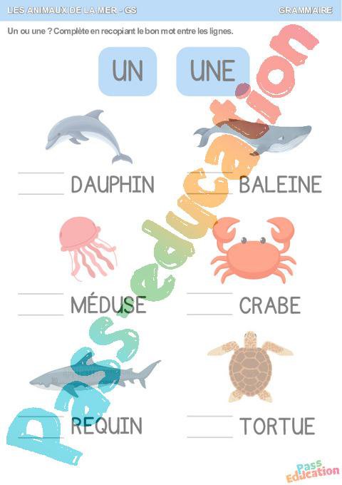 Animaux de la mer – Grammaire – MS – GS – Maternelle – Cycle 1 – PDF à ...