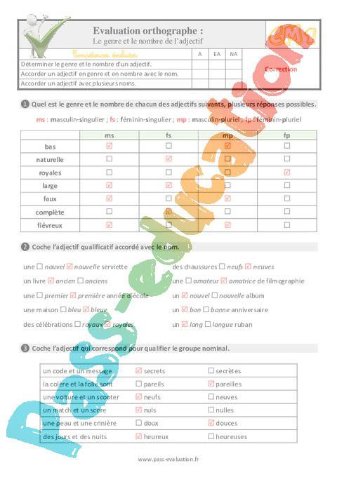 Le genre et le nombre de l’adjectif au Cm1 – Evaluation: QCM – Quiz ...