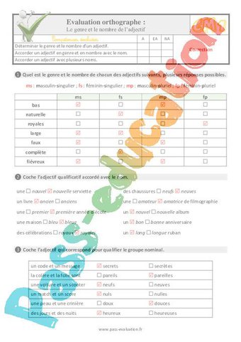 Le genre et le nombre de l’adjectif au Cm1 – Evaluation: QCM – Quiz ...