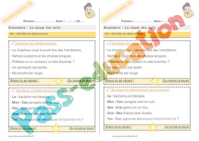 Identifier les déterminants – Ce1 – Evaluation progressive – Cycle 2 ...