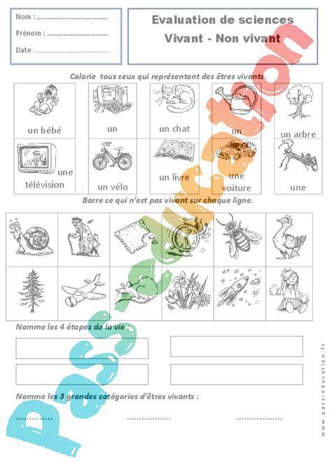 Vivant – Non vivant – Ce1 – Evaluation par Pass-education.fr - jenseigne.fr