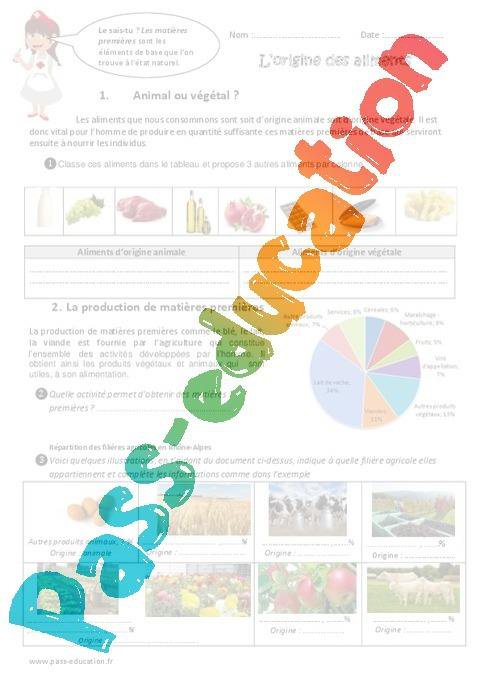 Origine des aliments – Cm1 – Cm2 – Exercices – Cycle 3 – PDF à imprimer ...