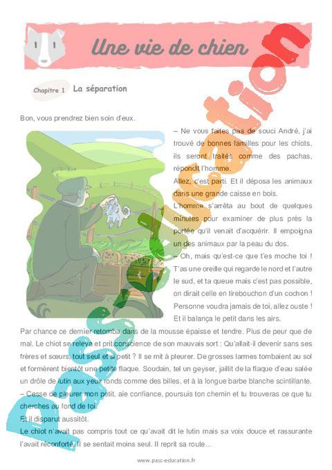 Une vie de chien – CE1 – Lecture suivie – Récit – Cycle 2 – PDF à ...