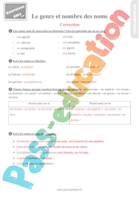 Bilan sur le genre et nombre des noms au Cm2 – Evaluation avec la ...