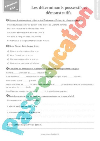 Les déterminants possessifs et démonstratifs – Cm1 – Exercices ...