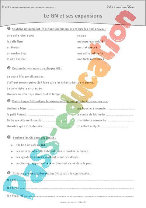 Groupe nominal et ses expansions – Cm2 – Exercices à imprimer par Pass ...