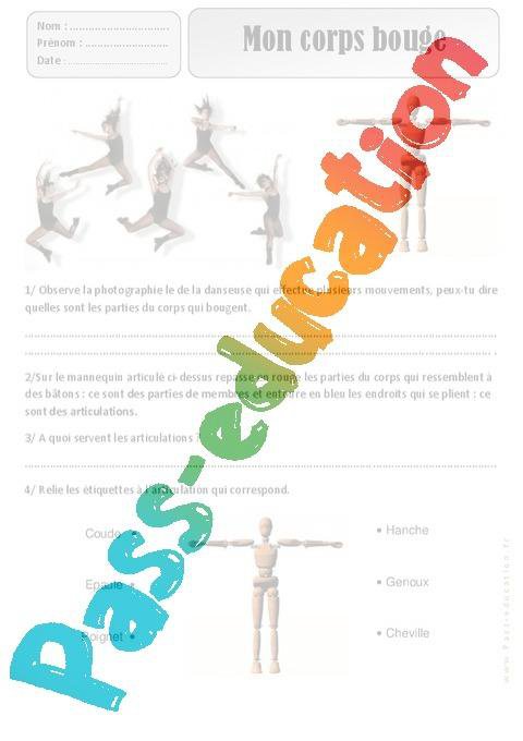 Mon corps bouge – Ce1 – Corps Humain – Exercices – Découverte du monde ...