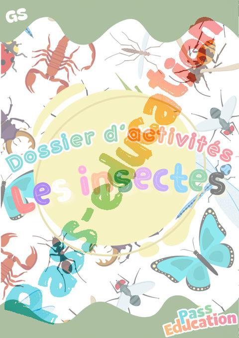 Les insectes – GS – Dossier d’activités – Maternelle – Cycle 1 – PDF à ...