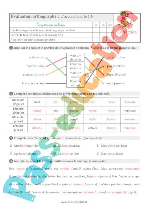 L’accord dans le GN – Ce2 – Étude de la langue – Evaluation avec les ...