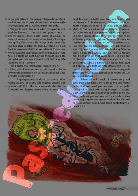 Une découverte fantastique – Cm2 – Récit – Lecture – Cycle 3 – PDF à ...