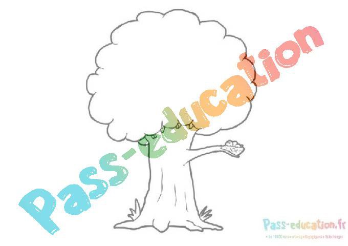 Arbre à colorier : découvrez nos coloriages gratuits à imprimer pour ...