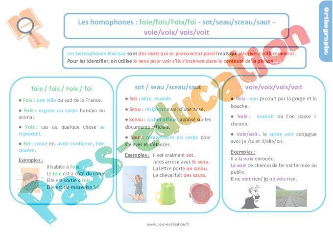 Bilan sur les homophones lexicaux: foie/fois/Foix/foi – sot/seau/sceau ...