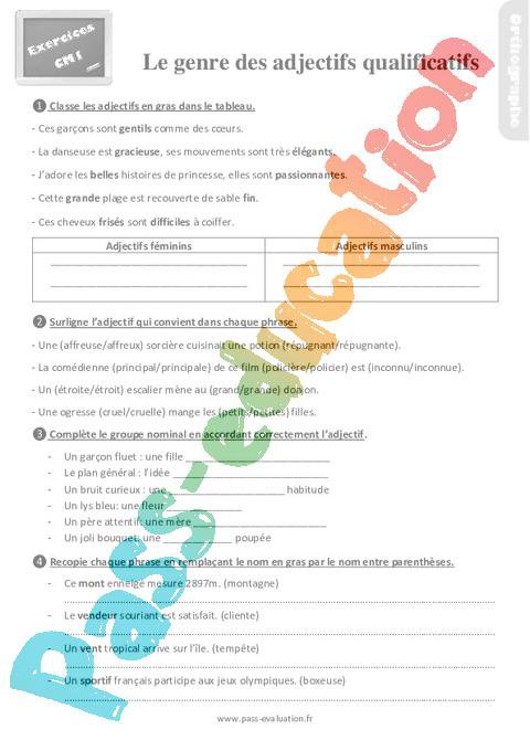 Le genre des adjectifs qualificatifs au CM1 – Evaluation et bilan avec ...