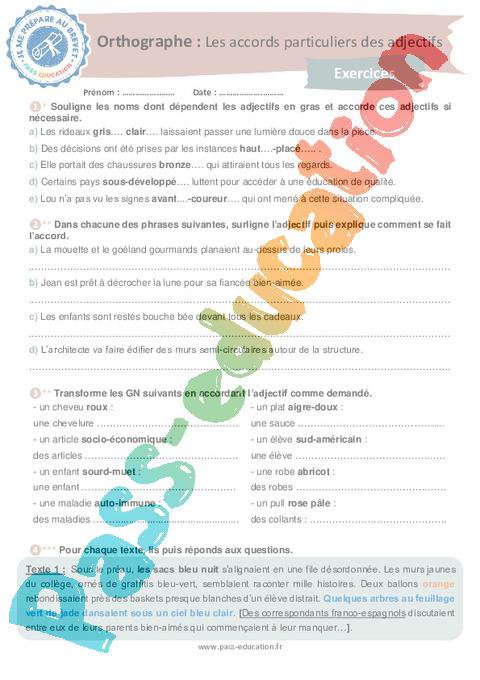 Accords particuliers des adjectifs – 3ème – Orthographe – Je me prépare ...