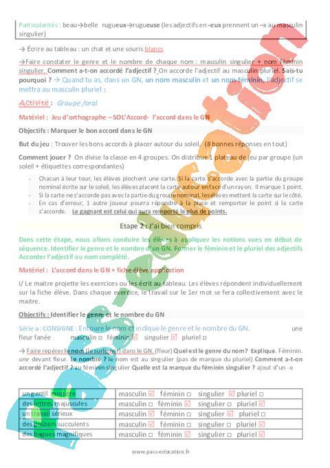 L’accord dans le GN au Ce2 – Étude de la langue – Fiche de préparation ...