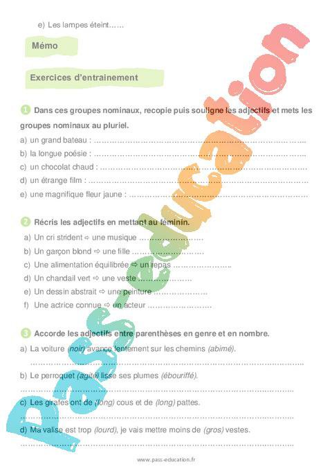 L’accord de l’adjectif avec le nom – Ce2 – Soutien scolaire pour les ...