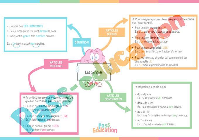Articles (définis, contractés, indéfinis) – Cm1 – Carte mentale – PDF à ...