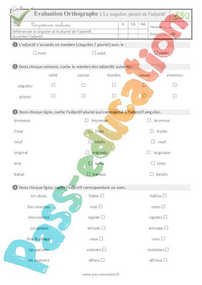 Le singulier, pluriel de l’adjectif au CE1 – Evaluation: QCM – Quiz ...