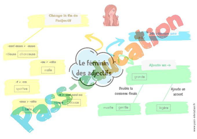Le féminin des adjectifs – Ce1 – Ce2 – Carte mentale à co-construire ...
