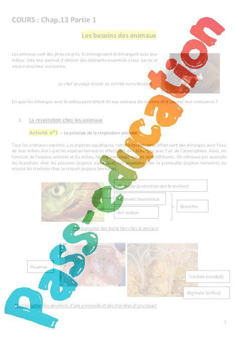 Les besoins des animaux et des végétaux – 5ème – Séquence complète ...