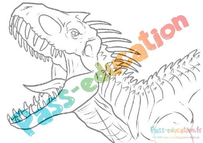Coloriage gratuit : T rex – PDF à imprimer par Pass-education.fr ...