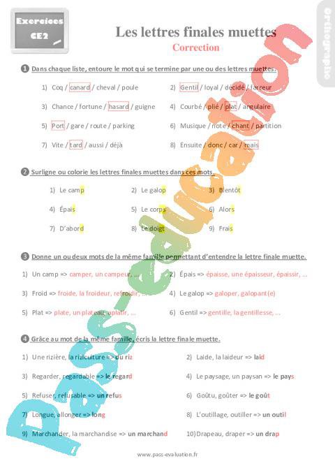 Évaluation Sur Les Lettres Muettes – VHKTX