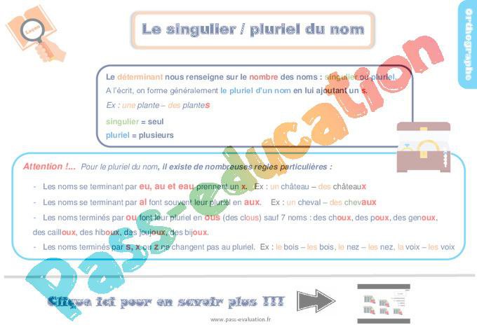 Evaluation et bilan pour le Ce1 sur le singulier, pluriel du nom ...