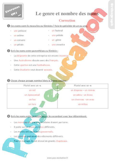 Bilan pour le CM1 sur le genre et nombre des noms – Evaluation avec le ...
