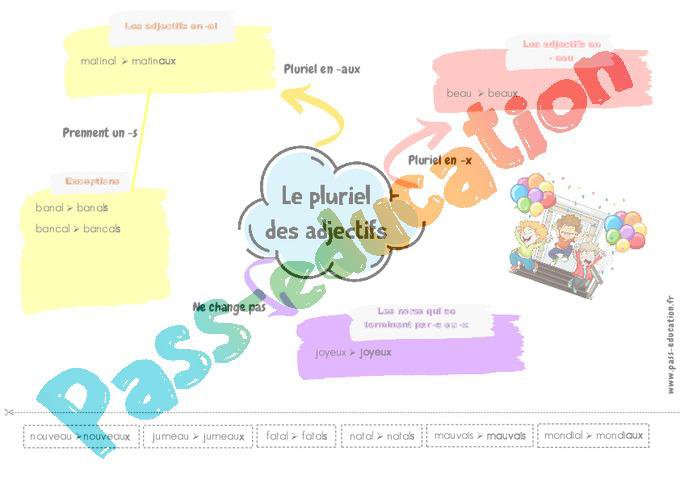 Le pluriel des adjectifs – Ce1 – Ce2 – Carte mentale à co-construire ...