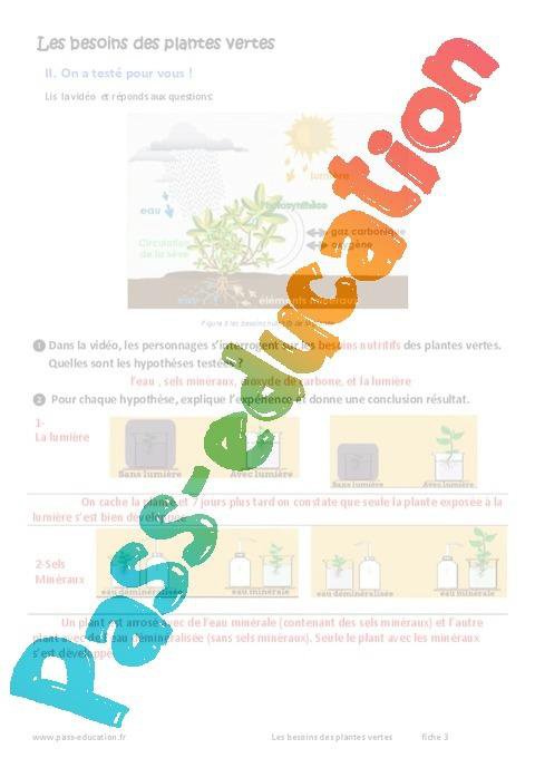 Besoins des plantes vertes – 6ème – Exercices – Cycle 3 – PDF à ...