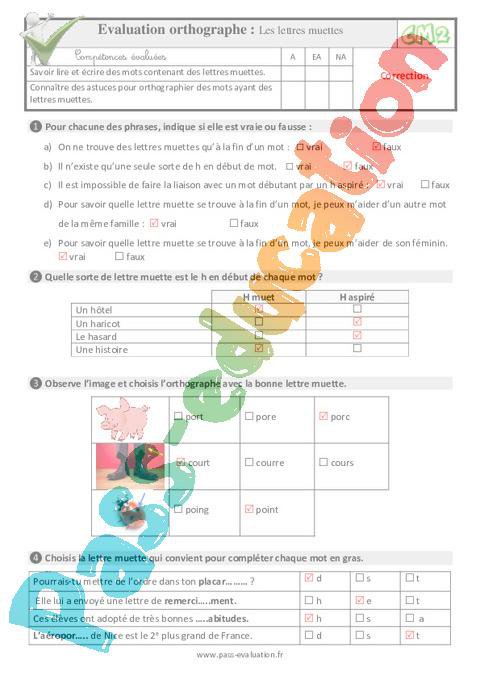 Les lettres muettes au Cm2- Evaluation: QCM – Quiz – PDF à imprimer par ...